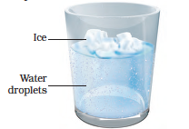 Water - NCERT Class 6 Science