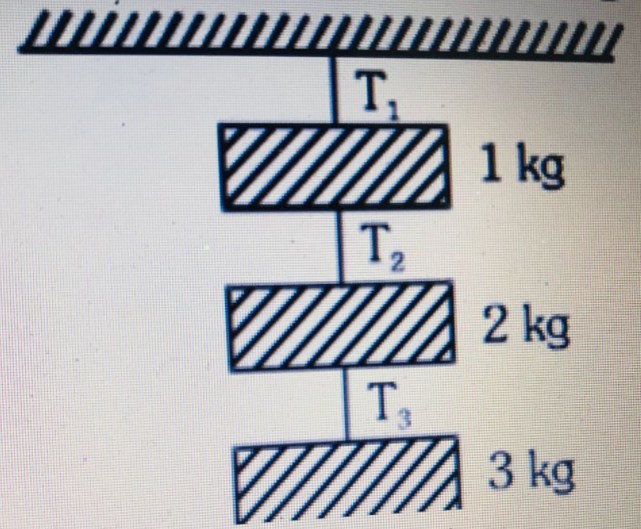 Find the tension t2 for the system shown in fig.