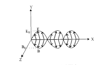 Draw the shape of electromagnetic waves