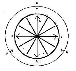 Seven persons are standing in twoconcentric circular arrangements. The