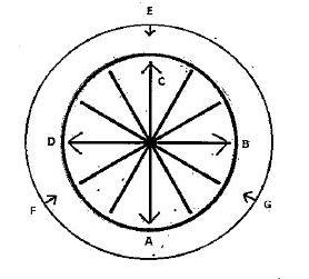 Seven persons are standing in twoconcentric circular arrangements. The