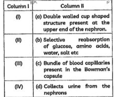Observe the diagram of structure of nephron. Match the labeling r