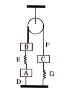 In the arrangement shown all strings, pulleys and springs are ideal. T