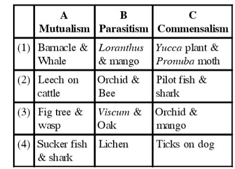 Select the correct match
