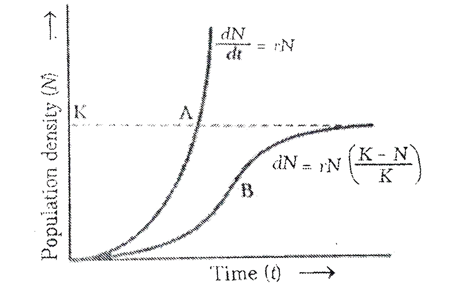 Logistic Growth Graph Logistic Growth Graph