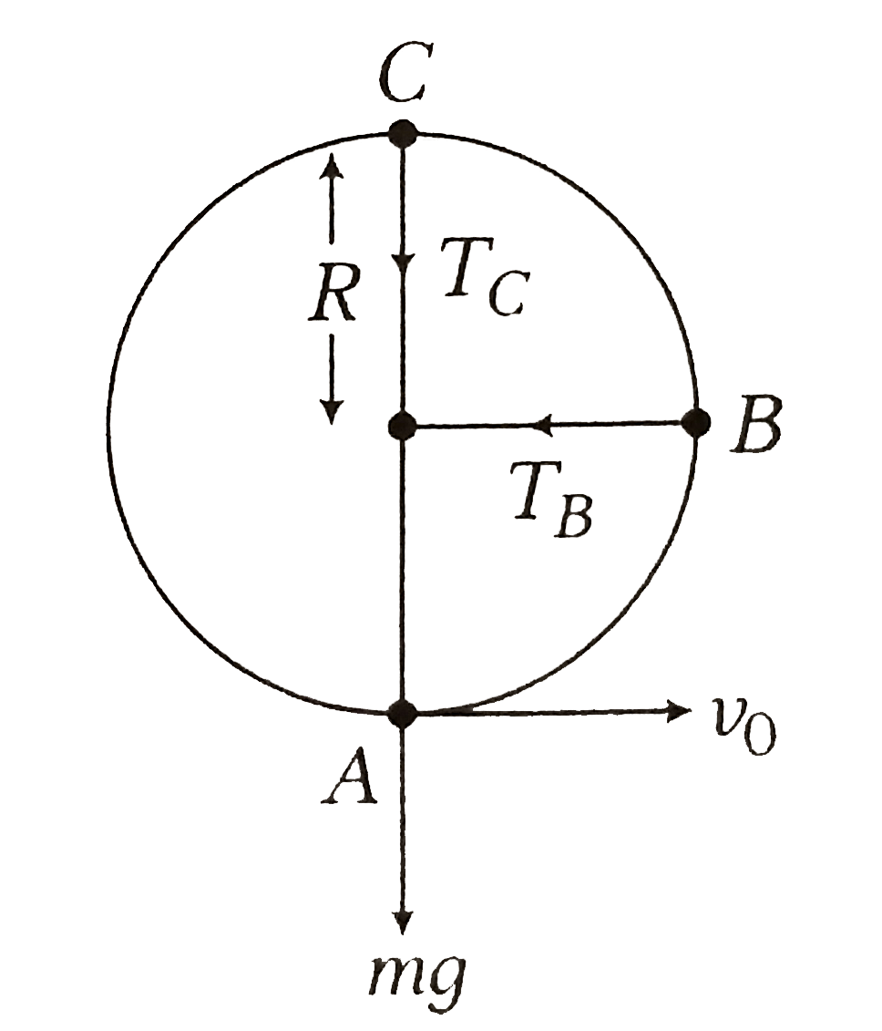 Doubt Solutions Maths Science CBSE NCERT IIT JEE NEET