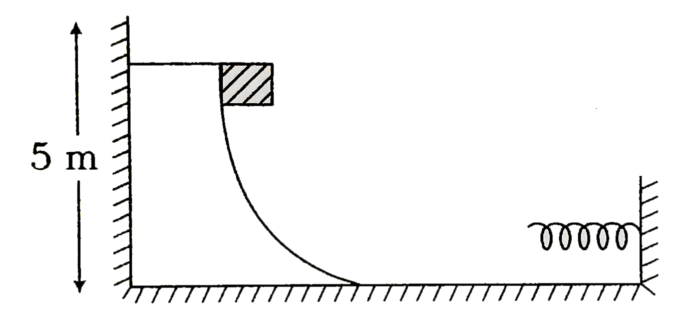 Consider the situation shown in figure. A spring of spring constant 40