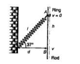 One end of a light spring of natural length d and constant k is fixed