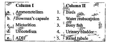 Match the columns I and II, and choose the correct combination from th