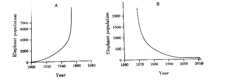 The graphs given below, A and B, represent population of elephants in