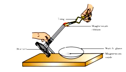 Magnesium ribbon burns with brilliant white light.