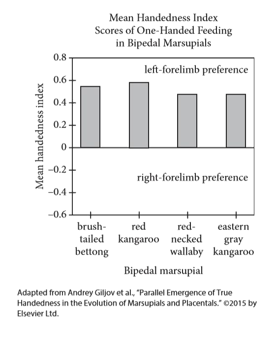 Marsupials Lend a Hand to Science Marsupials (mammals that carry the