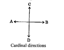 Conventionally direction marked 'A' represents