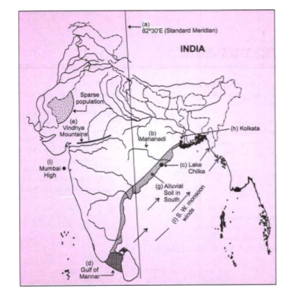 On the outline map of India provided : Label the river Mahanadi.