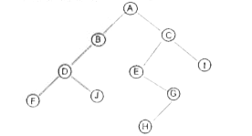 Answer the following questions from the diagram of a Binary Tree given