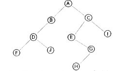 Answer the following questions from the diagram of a Binary Tree given