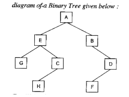 Answer the following questions from the diagram of a Binary Tree given