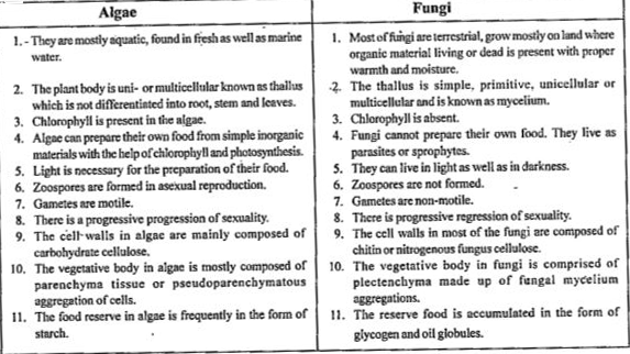 Give the important diffeences between algae and fungi.
