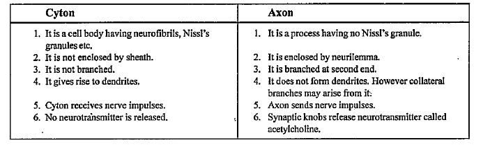 Distinguish between the following : Cyton and axon