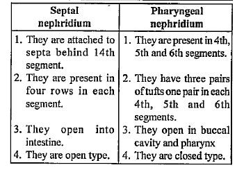 Distinguish between the following:Septal nephridium and pharyngeal ne
