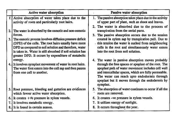 Distinguish between the following : (i) Semipermeable membrane and d