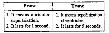 Write the differences between : P wave and T wave.
