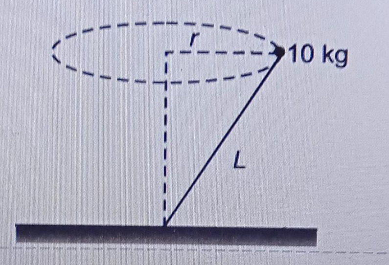 Two particles revolve concentrically in a horizontal plane in the same