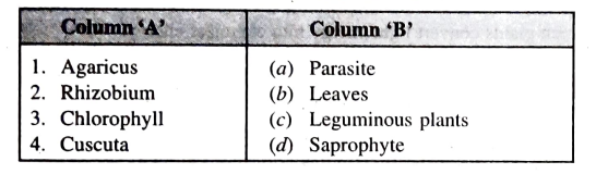 Match the column 'A' and column 'B'