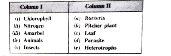 Match the column 'A' and column 'B'