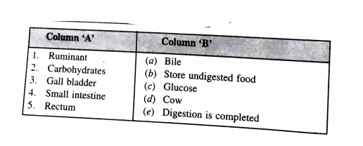 Match the Column 'A' with Column 'B':
