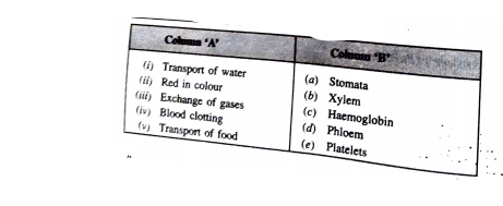 Match the Column 'A' and Column 'B':