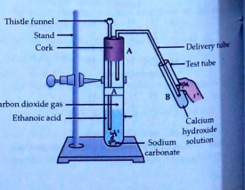 [Punjabi] Look at the figure and answer the following questions: How