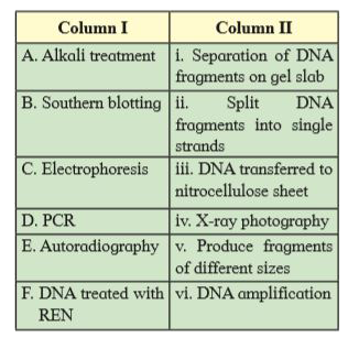 [Marathi Solution] Match the entries in column I with those of column