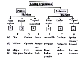 Refer to the given classification chart and select the correct option