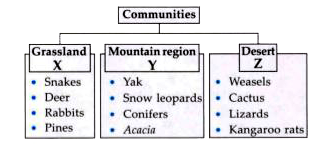 Refer to the given chart. Which of the organisms have been groupe