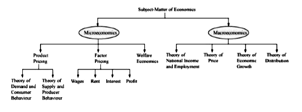 Discuss the subject matter of economics.