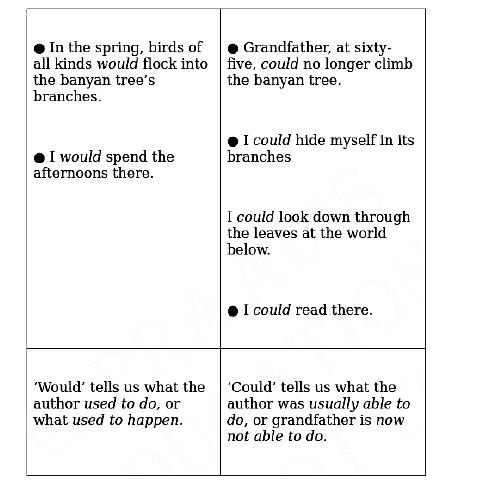 Look at these sentences. Choose would and could to replace the it