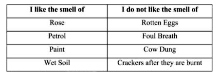 Write the names of five things you like and five things whose smell yo