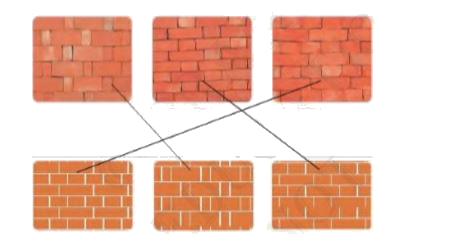 Here are photos of three kinds of brick walls. Can you see the differe