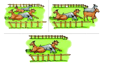 Develop a story on the pictures and narrate in the class.