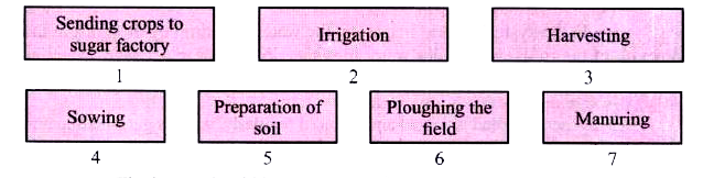 [Punjabi Solution] Arrange the following boxes in proper order to make