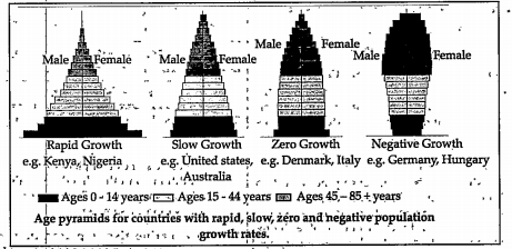 [Marathi Solution] From the age pyramid given below, what will be your