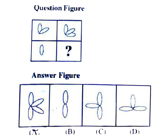 Analyze the figures and indentify the rules followed by the Figures. A