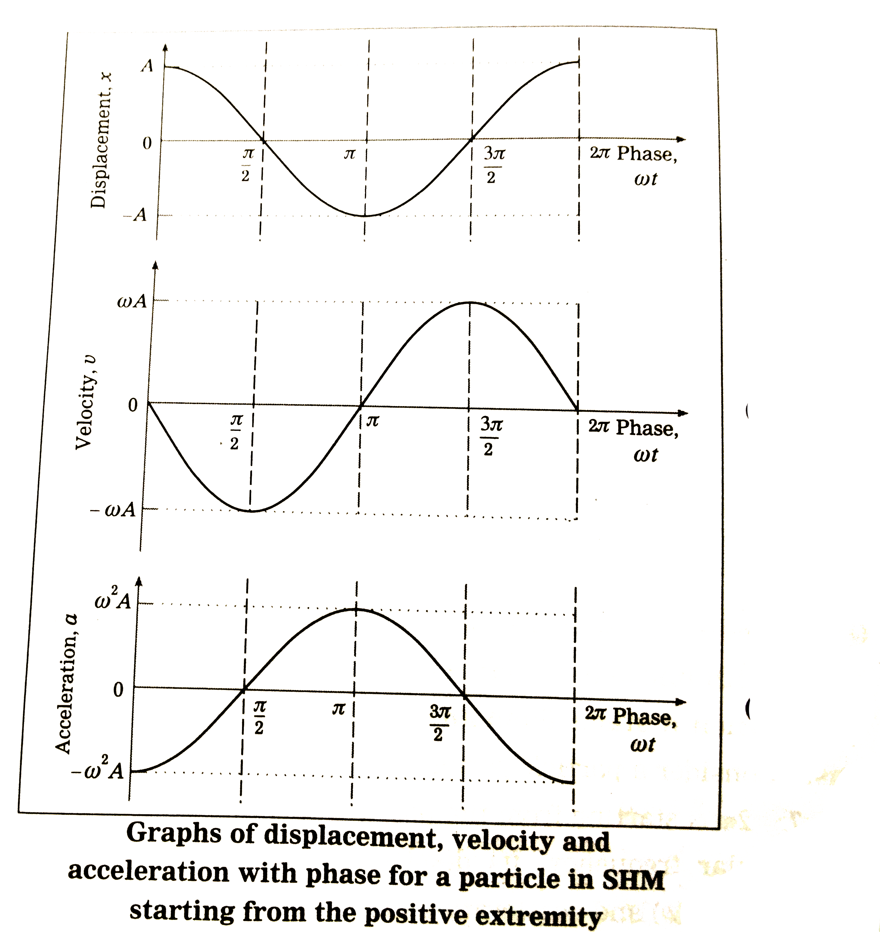 Define Phase Of S H M Show Variation Of Displacement Velocity And Ac Define Phase Of S H M Show Variation Of Displacement Velocity And Ac