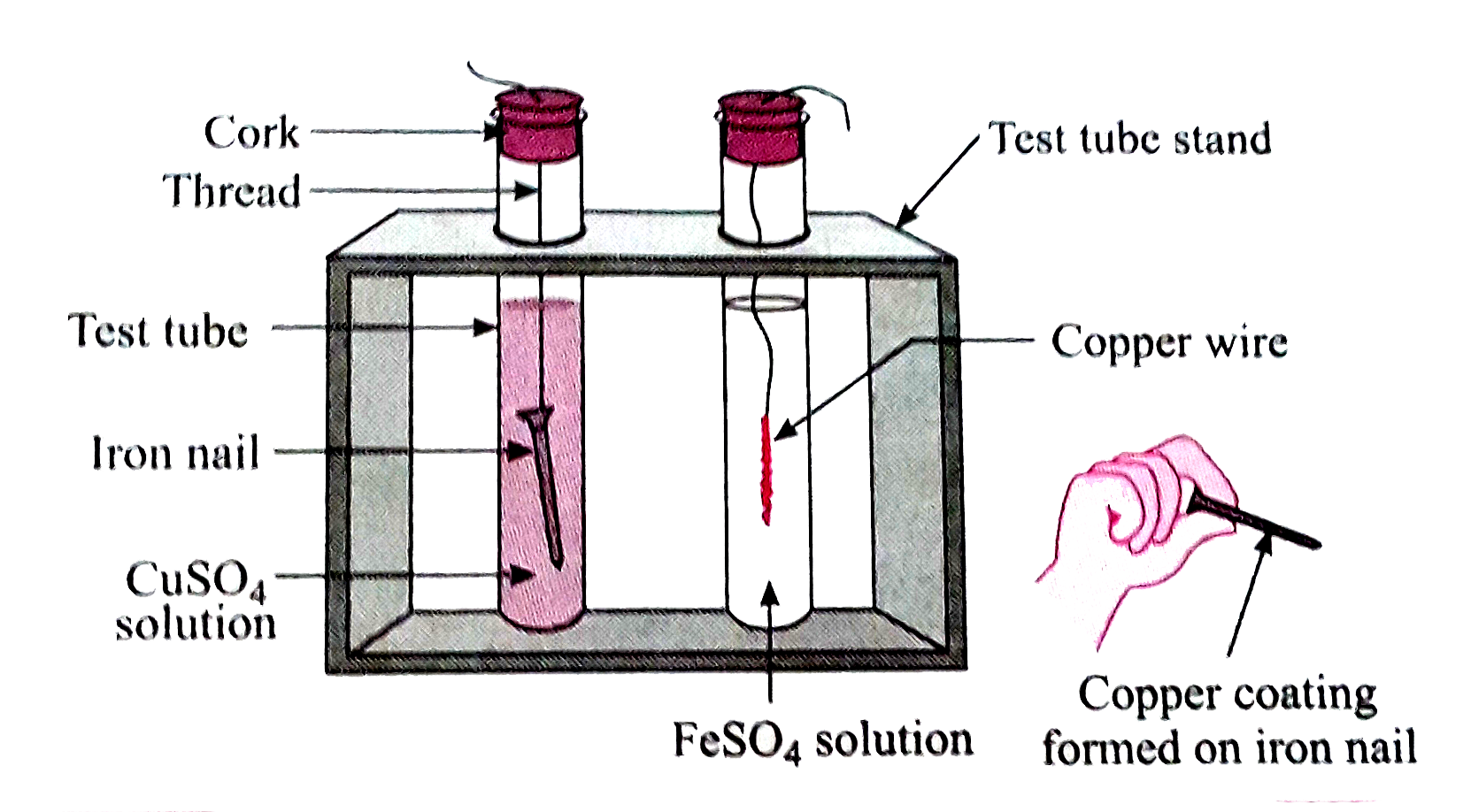 Reaction of metals with salts of other metals. Apparatus : Copper wi