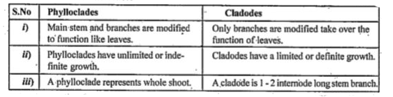 Give at least three differences between phylloclades and Cladodes.