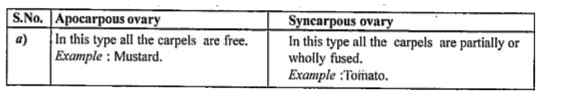 Diferentiate between apocarpous and syncarpous pistil.