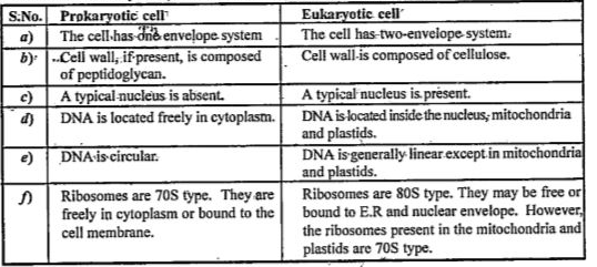 Differentiate between prokaryotic and eukaryotic cells. Differentiate between prokaryotic and eukaryotic cells.