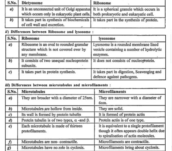 Distinguish between the followings : (i) Dictyosome and Ribosome