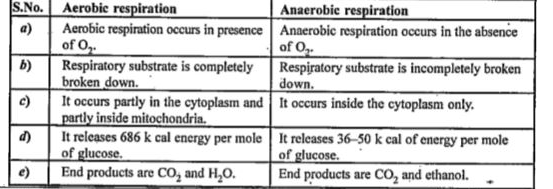 Differentiate between aerobic and anaerobic respiration.